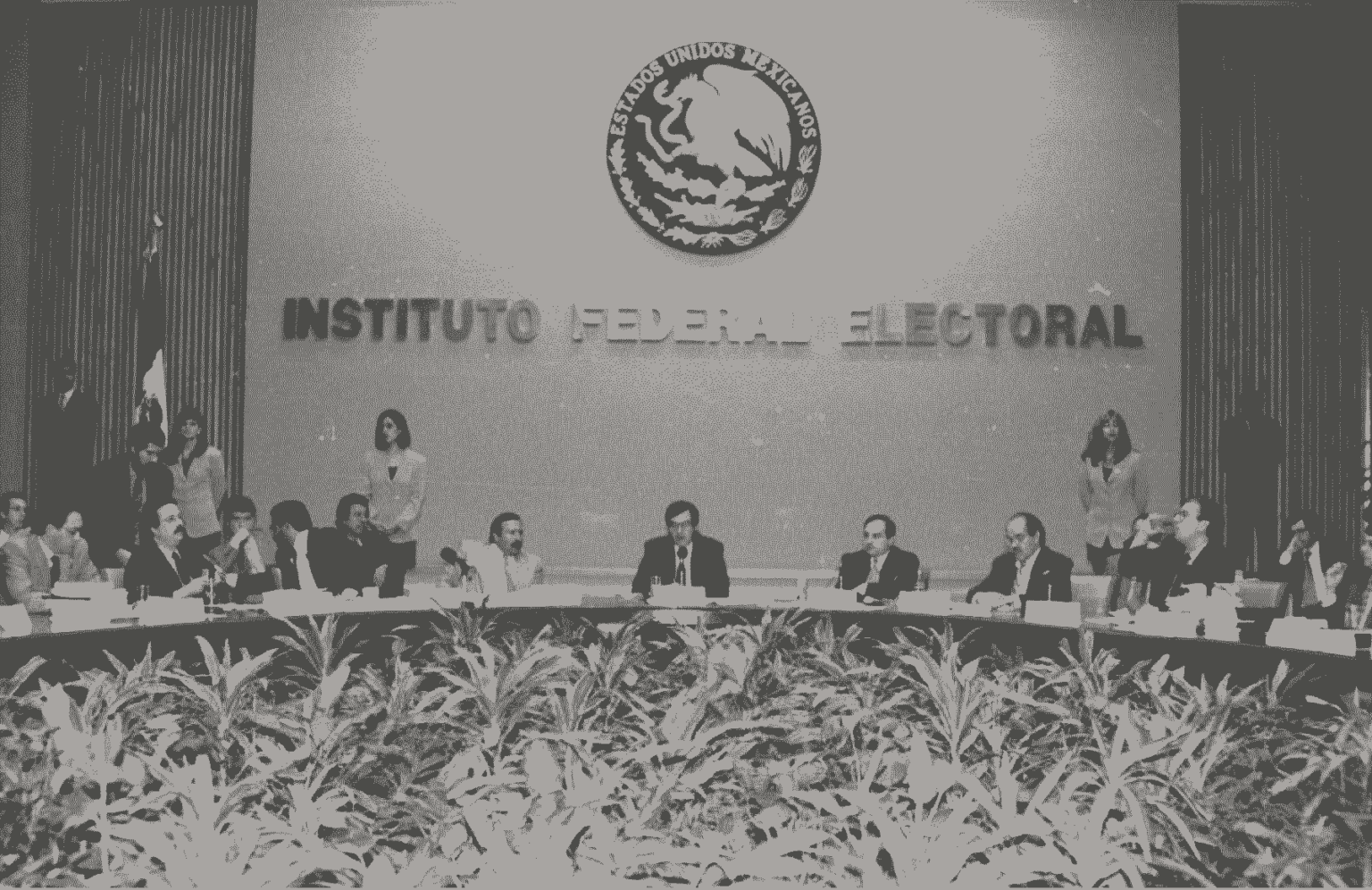 INE: disputa por el poder 4.- La verdadera historia del IFE | Carlos ...